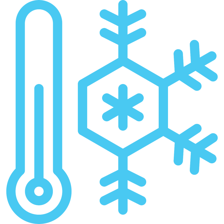 THE COMPANY – Boss Export